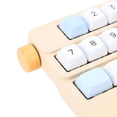 Yajisi USB Wired Mechanical Number Pad Programmable 19 Keys Numeric ...