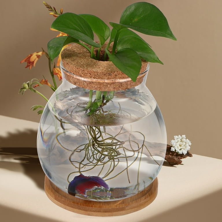 Fish Bowl Stand Mrosaa Glass Hanging Fish Tank Bowl Aquarium Flowe ...