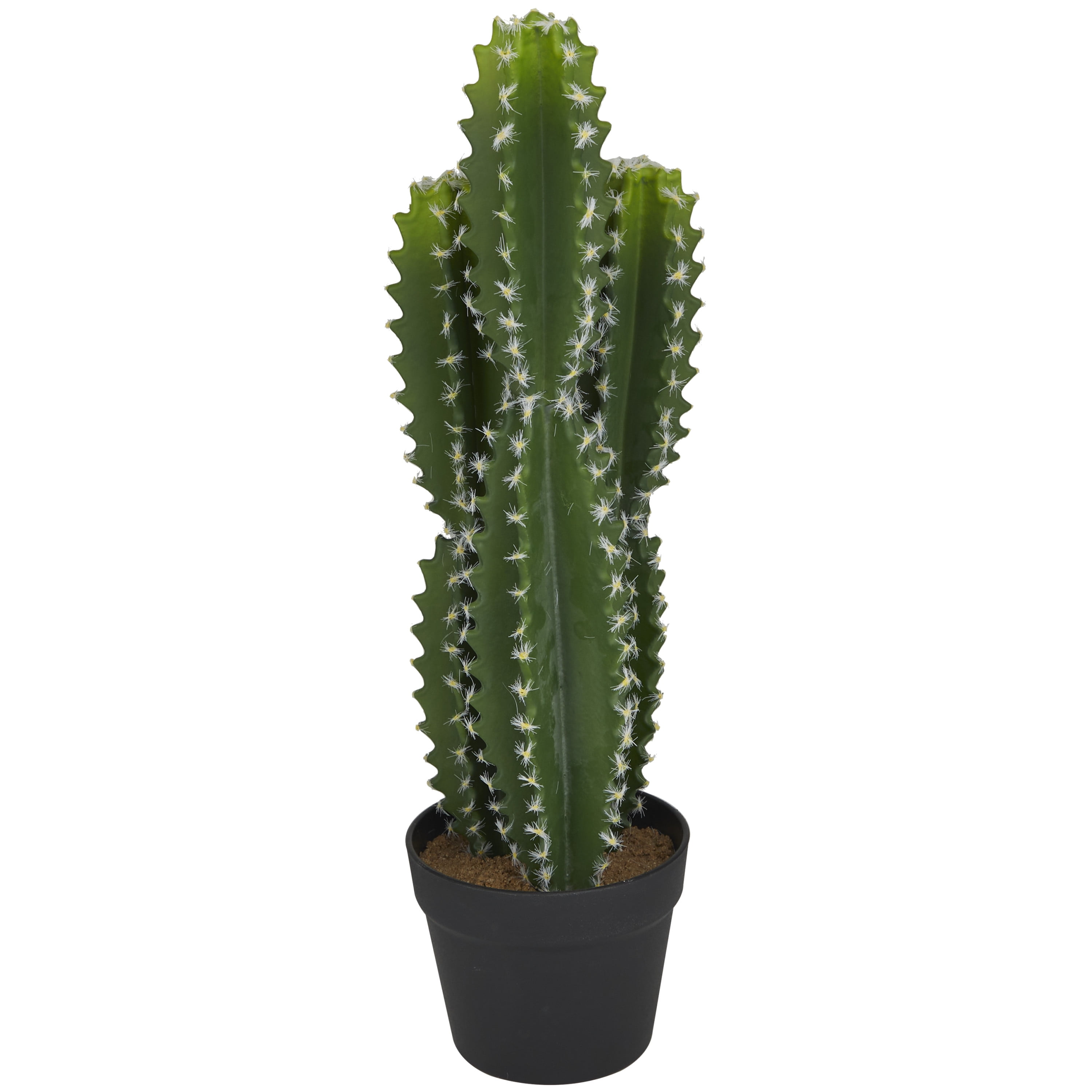 The Novogratz 23" Artificial Cactus Plant in Realistic Leaves and Black ...