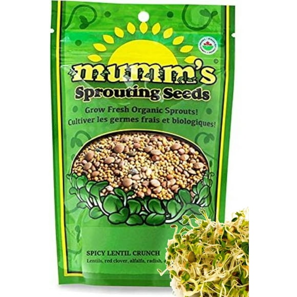 Mumm's Sprouting Seeds | Walmart Canada
