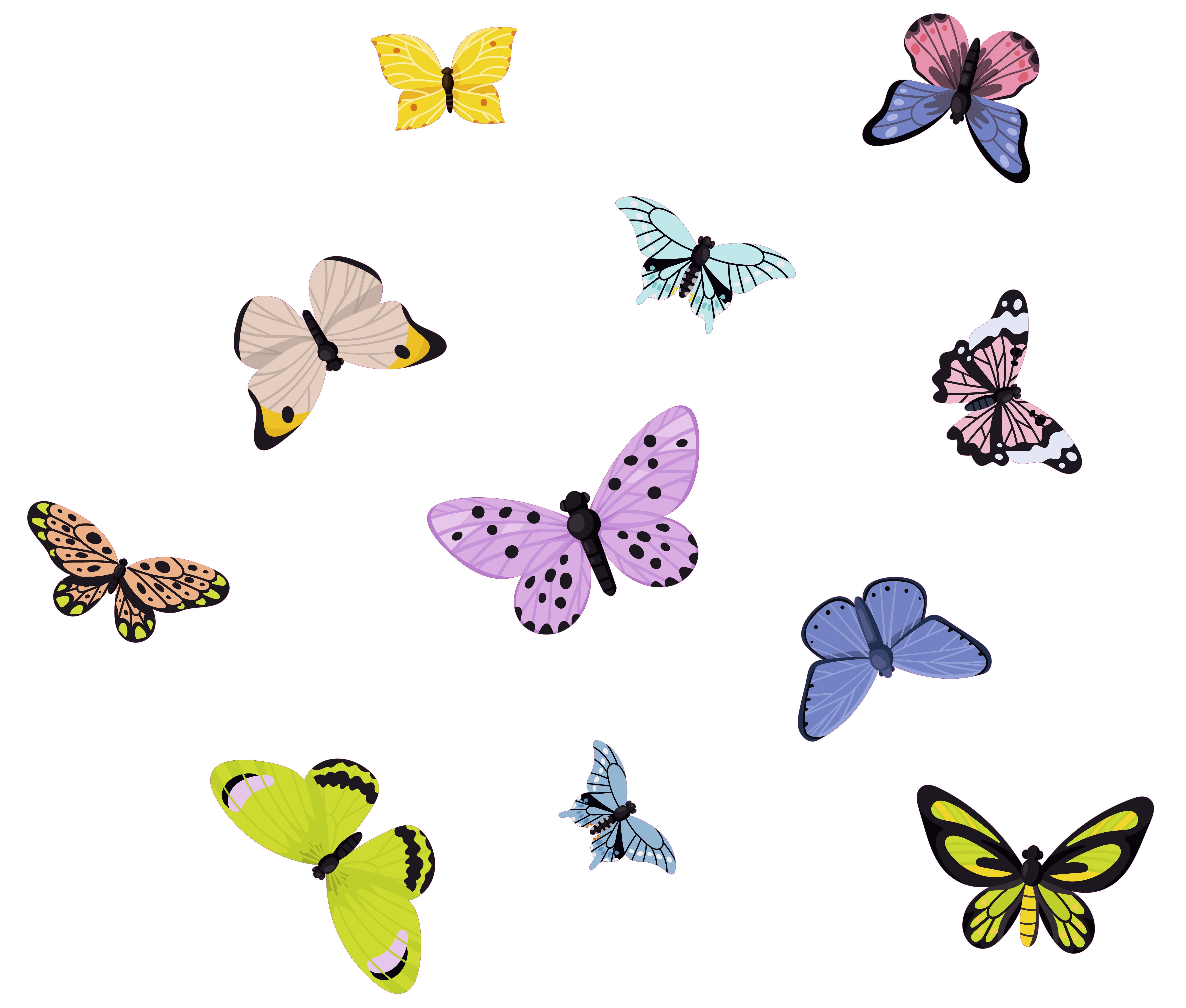 Butterfly Designs For Kids