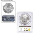 1 oz Silver American Eagle NGC/PCGS MS 69 (Random Year) - Walmart.com