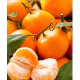 Fresh Tangerine, Each - Walmart.com