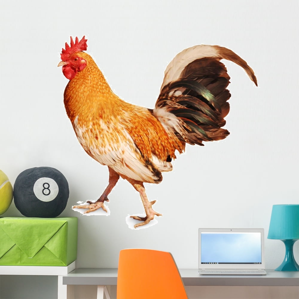 Healthy Rooster Wall Decal by Wallmonkeys Peel and Stick Graphic (36 in ...