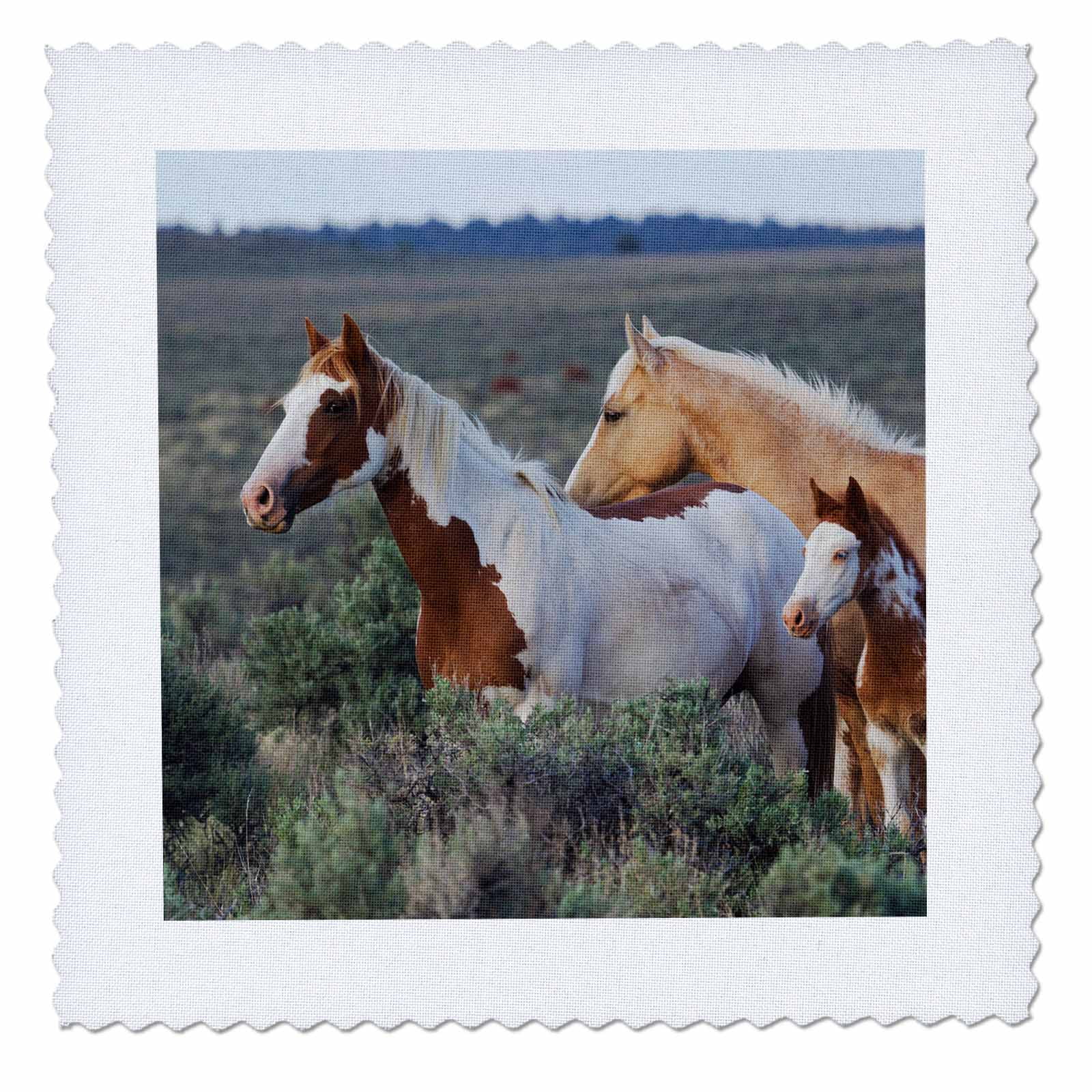 Wild horses, Mustangs 6x6 inch quilt square qs-279378-2 - Walmart.com
