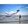 Kizh Large Octopus Kite, Frameless Parafoil, 157in Long Tail, Easy to ...