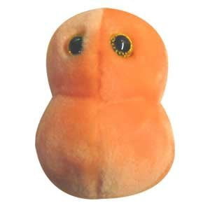 Streptococcus Pneumoniae Plush Giant Microbe | atelier-yuwa.ciao.jp