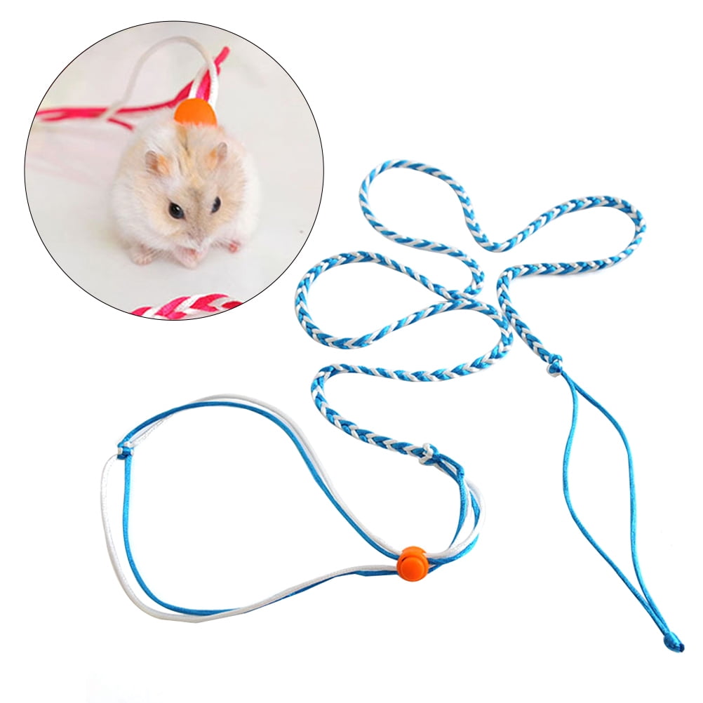 Arnés de cuerda de collar de correa de plomo de lazo flexible para ...