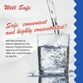 Well-Safe Water Disinfectant Tablets for Well Sanitizer Treatment Pack ...
