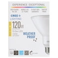 Cree Lighting PAR38 Weatherproof Outdoor Flood 120W Equivalent LED Bulb ...