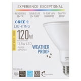 Cree Lighting PAR38 Weatherproof Outdoor Flood 120W Equivalent LED Bulb ...