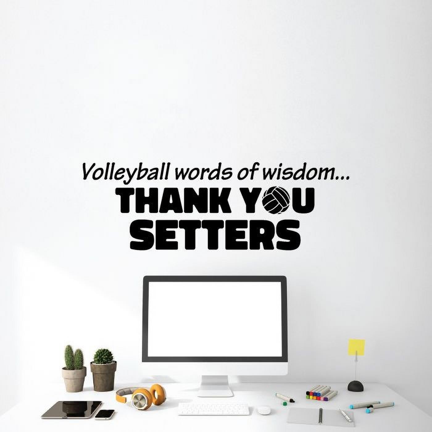 Volleyball Quotes For Setters