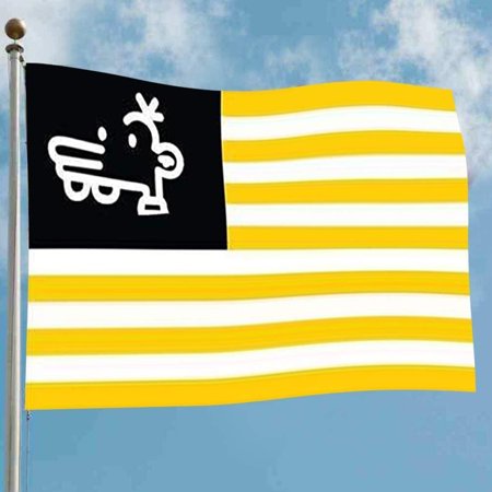 VALINK New American Flag Manny Flag Changing The American Flag House ...