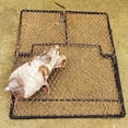 Bird Trap Pigeon Sparrow Quail Starling Chicken Live Animal Control ...