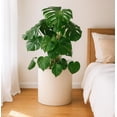 14 Inch Plastic Planter Pot with Drainage Hole and Seamless Saucer ...
