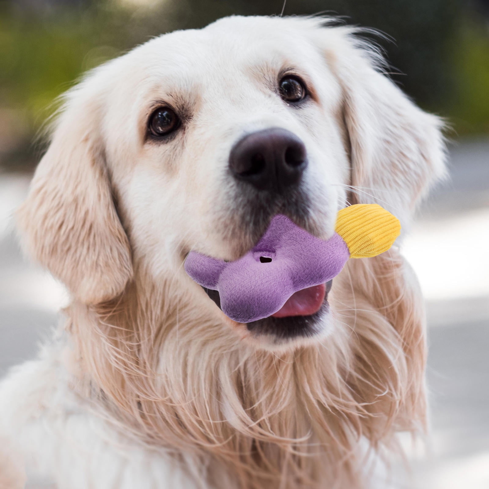 Click here for Upgrator Interactive Dog Toys Loneliness Reduction... prices