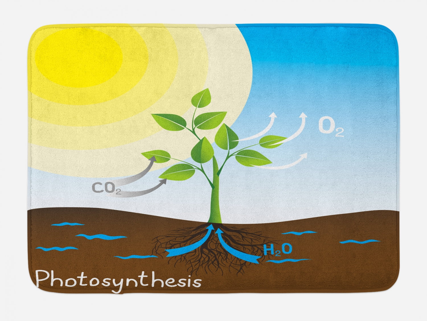 Educational Bath Mat, Simple Photosynthesis Scheme Plant Sun Molecules ...