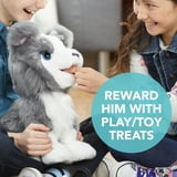 furReal Ricky, the Trick-Lovin' Interactive Plush Pet Toy - Walmart.com