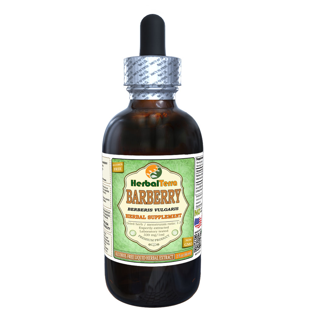 Barberry (Berberis Vulgaris) Glycerite, Organic Dried Root Bark Alcohol ...