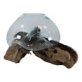 Bali Handicraft Natural Teak Driftwood With Large Decorative Molten ...