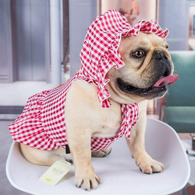 Pugs In Dresses