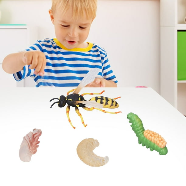 Simulation Wasp Growth Cycle Action Figures,Wasp Bee Growth Cycle Wasp ...