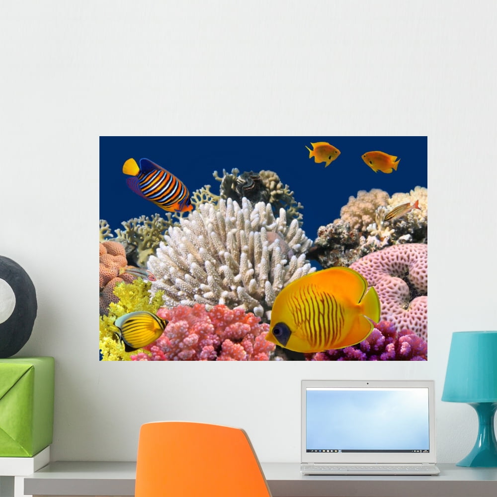Underwater Life Hard-coral Reef Wall Decal by Wallmonkeys Peel and ...