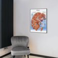 Anatomical Poster Kidney Posters Print Photo Art Painting Canvas Poster ...