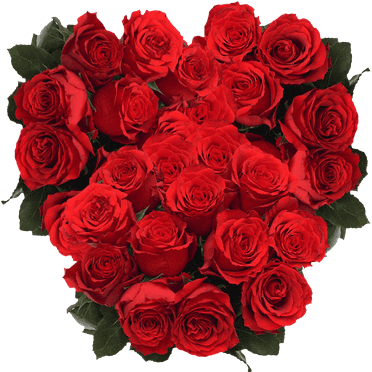 50 Stems of Red Roses- Beautiful Fresh Cut Flowers- Express Delivery ...