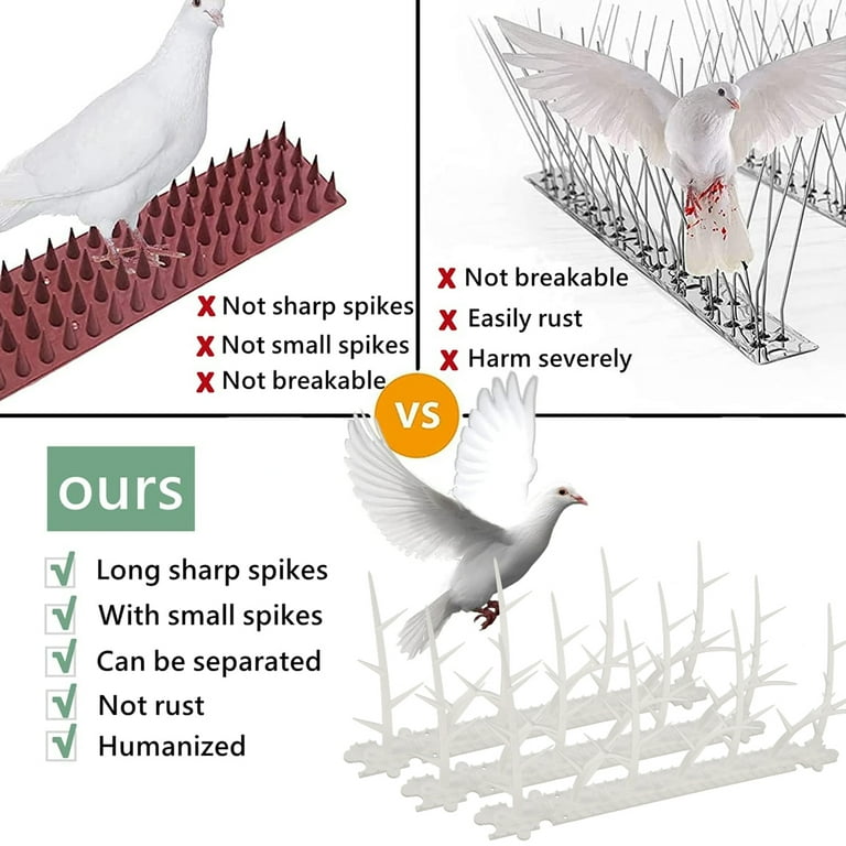 Anti Bird Spikes