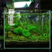 GloFish Blue LED Bubbler, Aquarium Lights With Air Stone For Fish Tanks ...