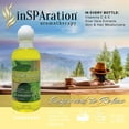 InSPAration Eucalyptus Mint Aromatherapy Liquid 9 oz for Hot Tubs and Spas - Walmart.com