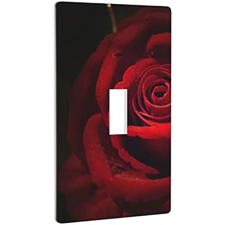 Decorative Faceplates For Electrical Outlets | Shelly Lighting