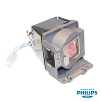 Viewsonic RLC-111 Projector Lamp - Walmart.com