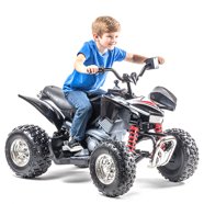 Razor Dirt Quad - 24V Electric 4-Wheeler ATV - Twist-Grip Variable ...
