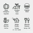 Ferry-Morse Organic 2.1G Pumpkin Big Max Annual Vegetable Seeds, Full ...