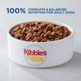 Kibbles ‘n Bits Mini Bits Small Breed Savory Beef & Chicken Flavors Dry ...