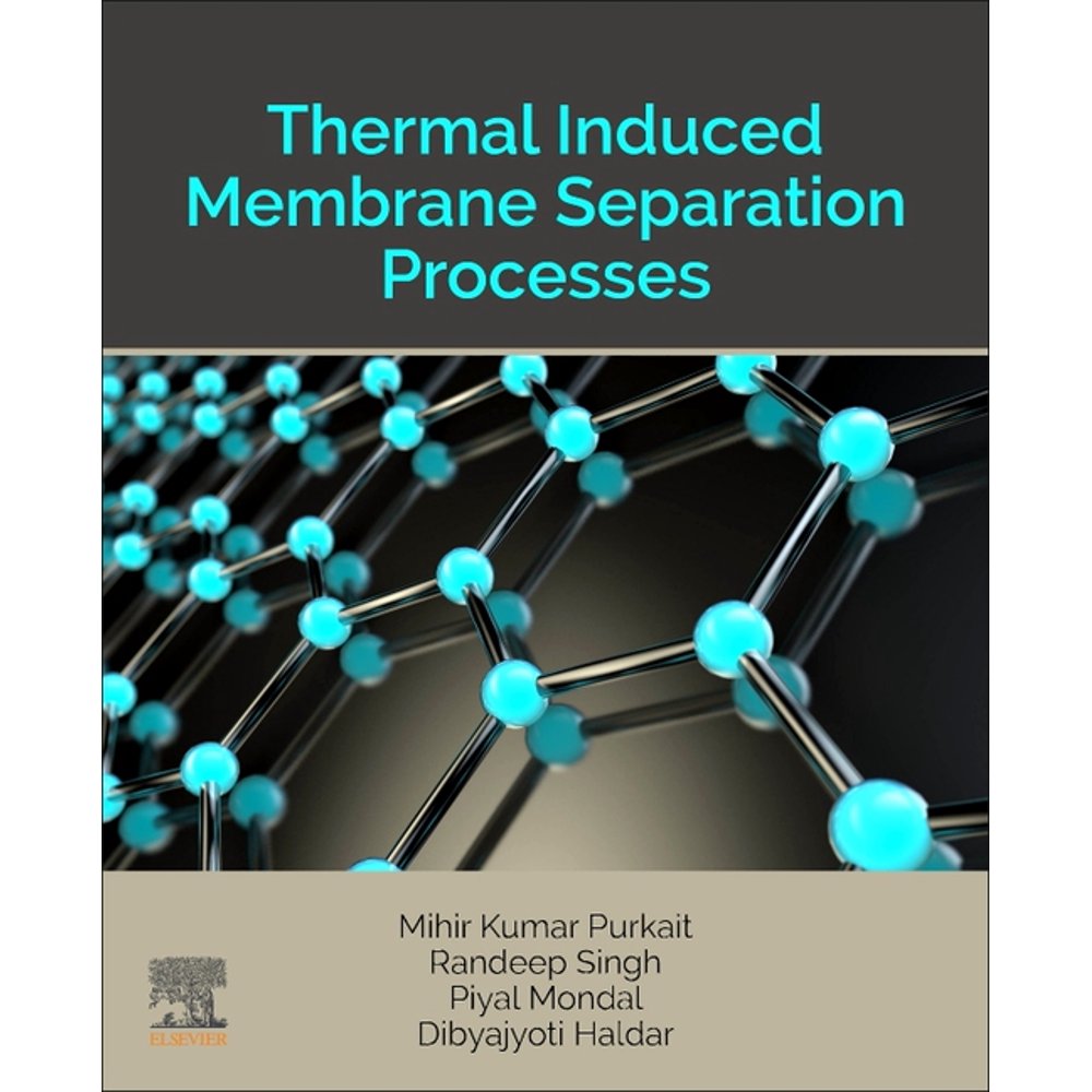 Thermal Induced Membrane Separation Processes (Paperback) - Walmart.com ...