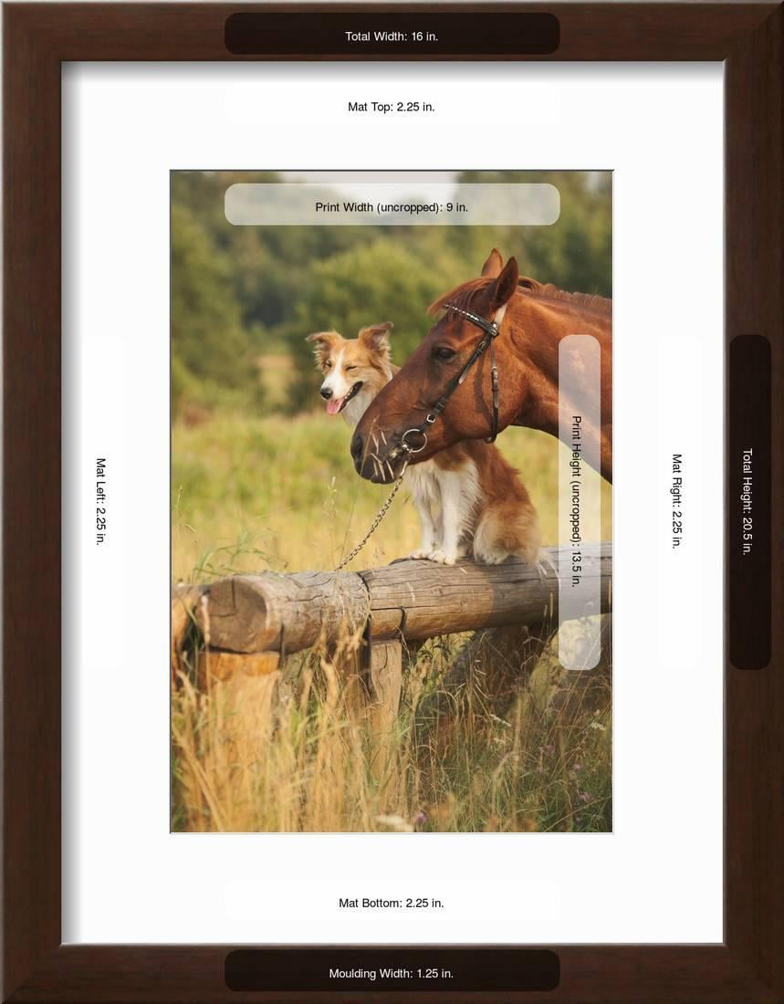 Horse Borders And Frames