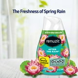 Renuzit, Adjustable Gel Air Freshener Cone, 7oz, After the Rain Scent ...