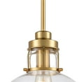 Elk Home 9-Inch Wide Manhattan Boutique Pendant, Brushed Brass ...