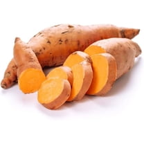 3 White Sweet Potato Slips for Planting - Grow Your Own Tasty Sweet ...