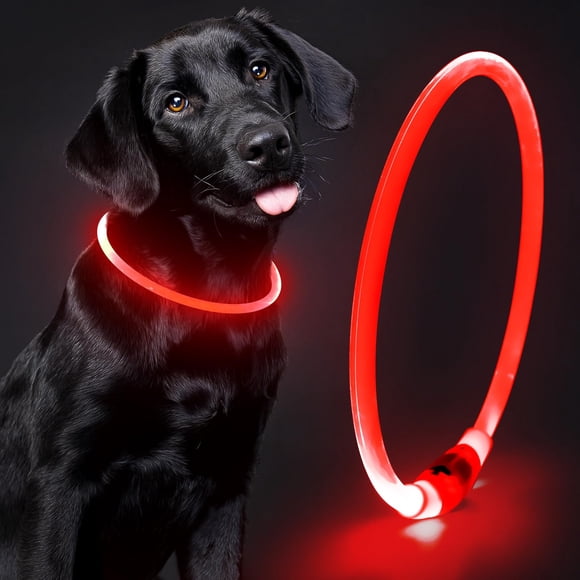 Dog Lights | Walmart Canada