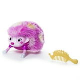 Zoomer Hedgiez, Whirl, Interactive Hedgehog with Lights, Sounds and ...