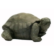 Snapper Turtle