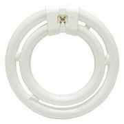 Circular Light Bulbs