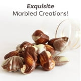 Guylian Belgian Chocolate Sea Shells, Hazelnut Praline Truffles, 8.82 ...