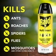 Raid Multi Insect Killer 7, Bug Killer Spray, Orange Breeze Scent, 15 ...