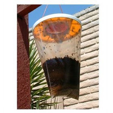 Flies Be Gone - Non Toxic Fly Trap 1-Pack - Walmart.com