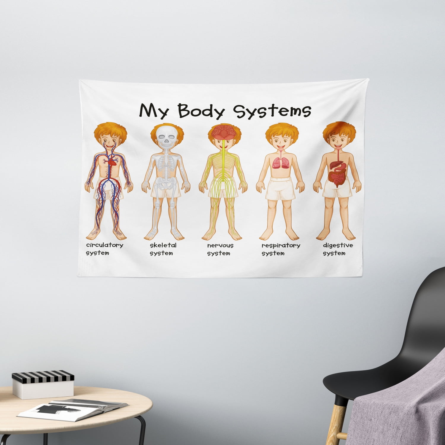 Educational Tapestry, Different Systems in Human Nervous Skeletal ...